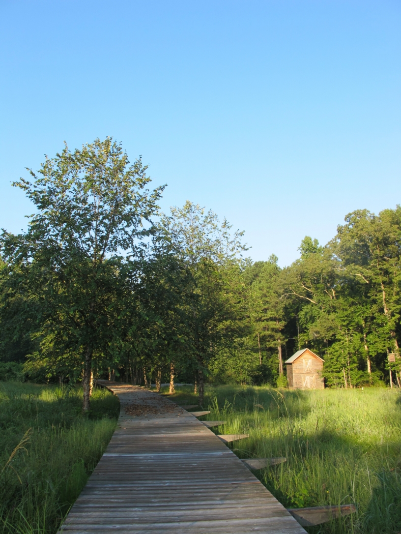 Serenbe: a Green Town in the Making - GreenBuildingAdvisor