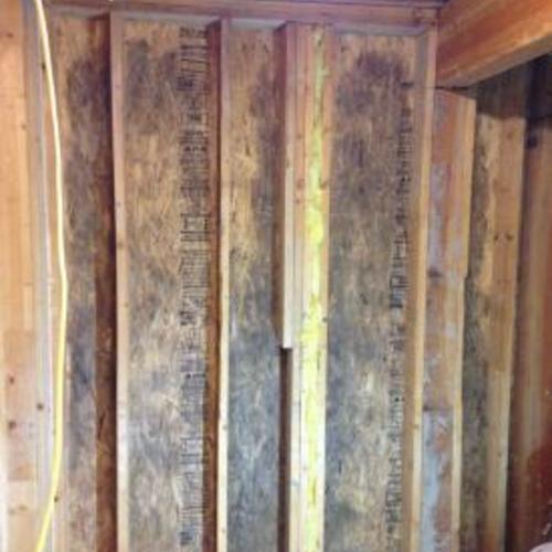 Moldy Roof Sheathing in the Pacific Northwest - GreenBuildingAdvisor