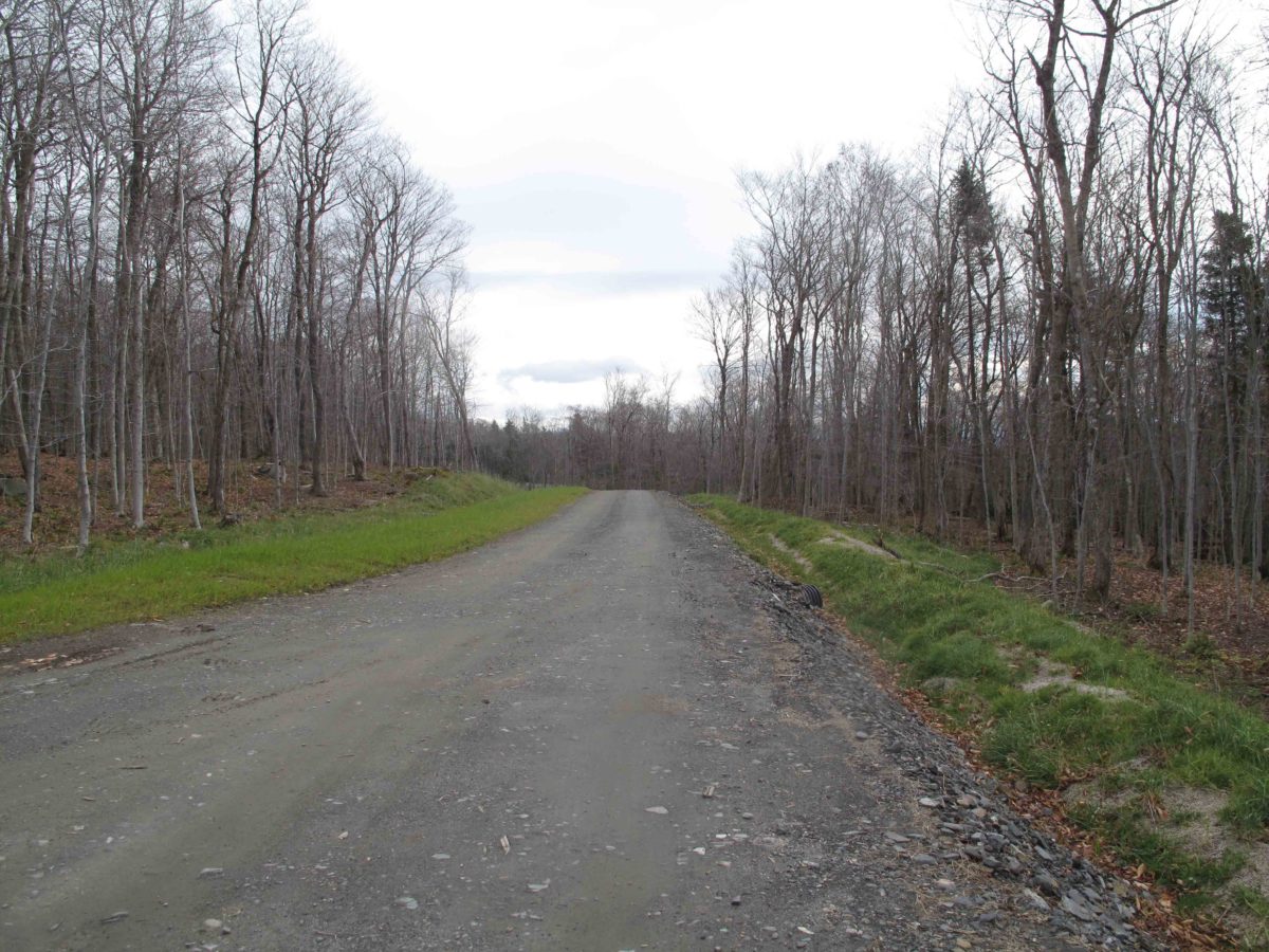 Vermont’s Largest Wind Farm Officially Goes Online - GreenBuildingAdvisor