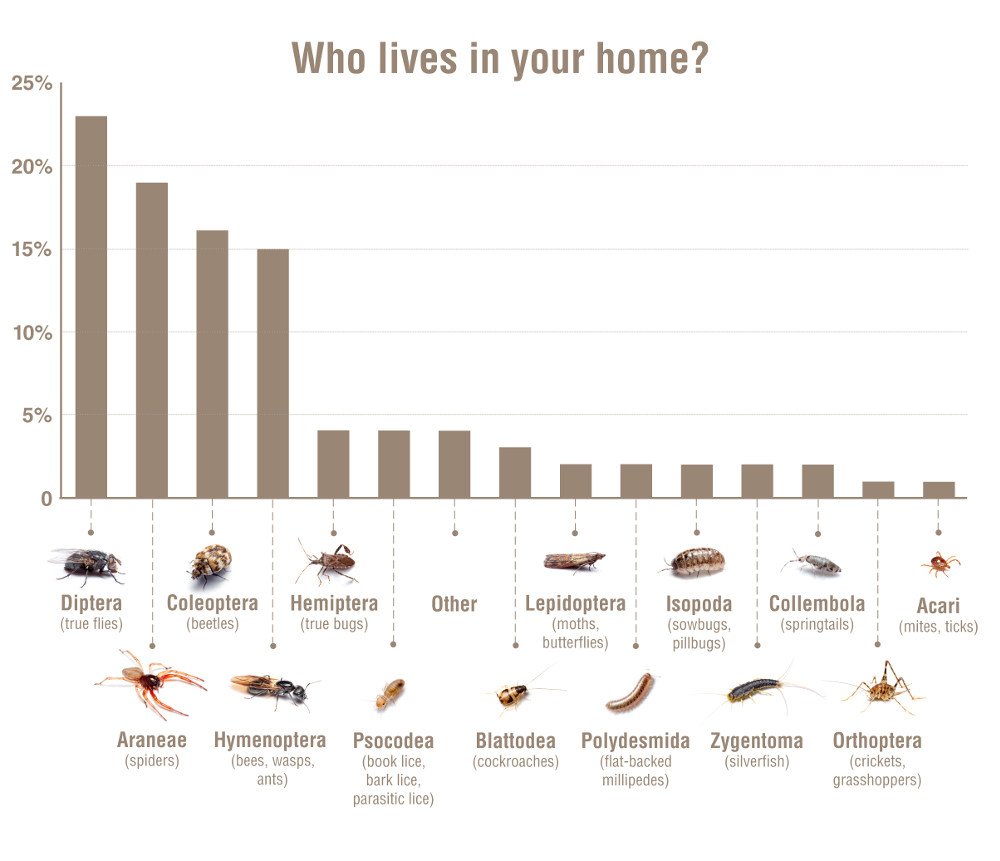 Never Home Alone - GreenBuildingAdvisor