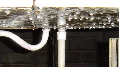 3 Facts About Dew Point Temperature - GreenBuildingAdvisor