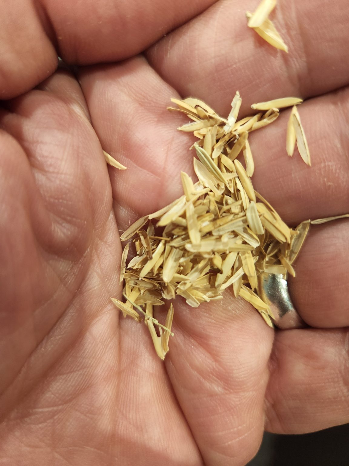 Rice Husk Siding and Trim Board - GreenBuildingAdvisor