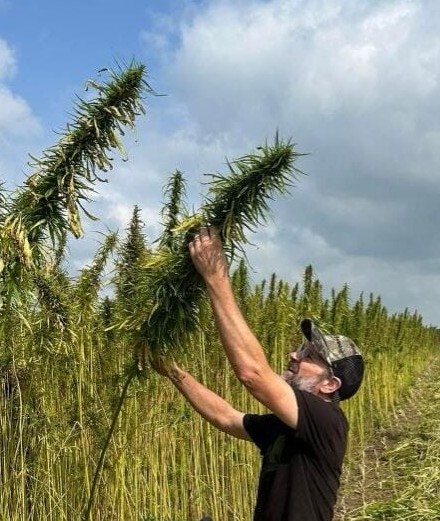 Normalizing Hemp and Straw Up North - GreenBuildingAdvisor