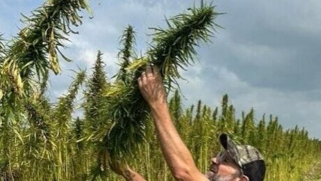 Normalizing Hemp and Straw Up North - GreenBuildingAdvisor