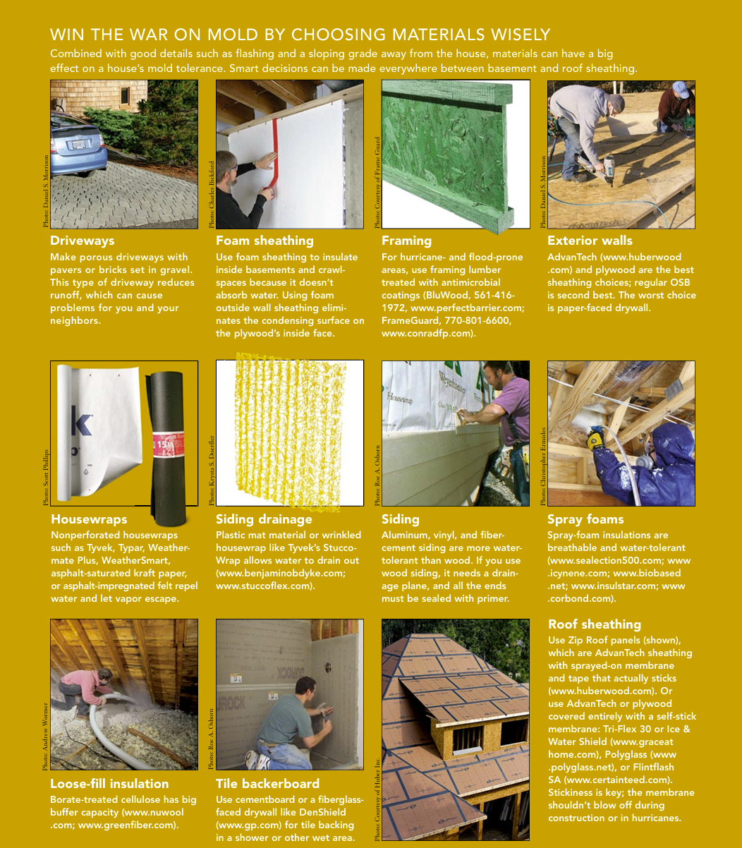 The Mold Explosion - GreenBuildingAdvisor